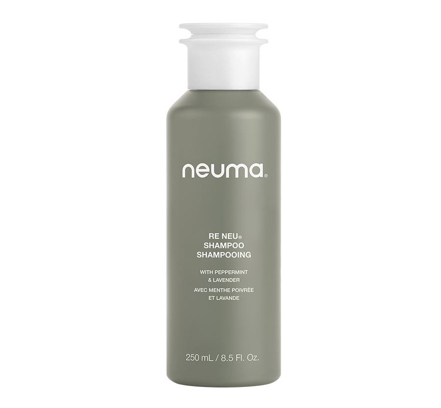 Product: RE NEU CLARIFYING SHAMPOO