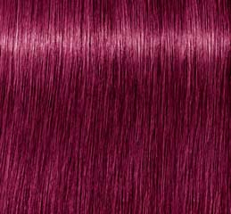 Product: IGORA Royal Permanent Hair Color 2.1oz