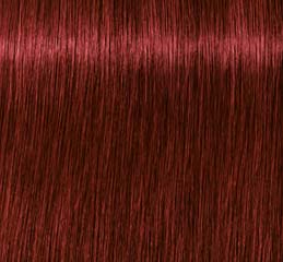 Product: IGORA Royal Permanent Hair Color 2.1oz